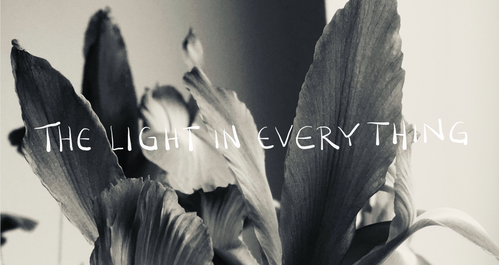 light in everything