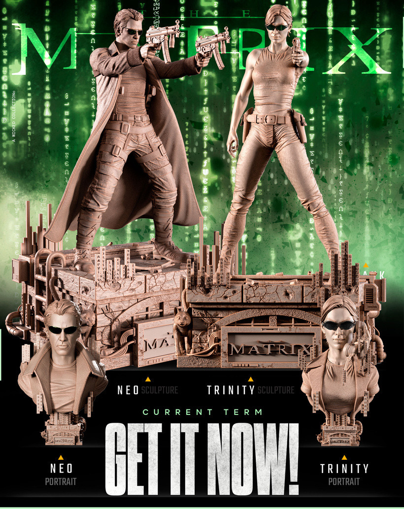 matrix neo e trinity