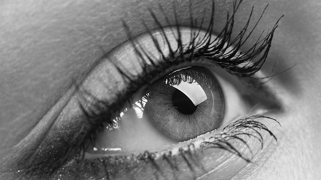 human eye drawing reference