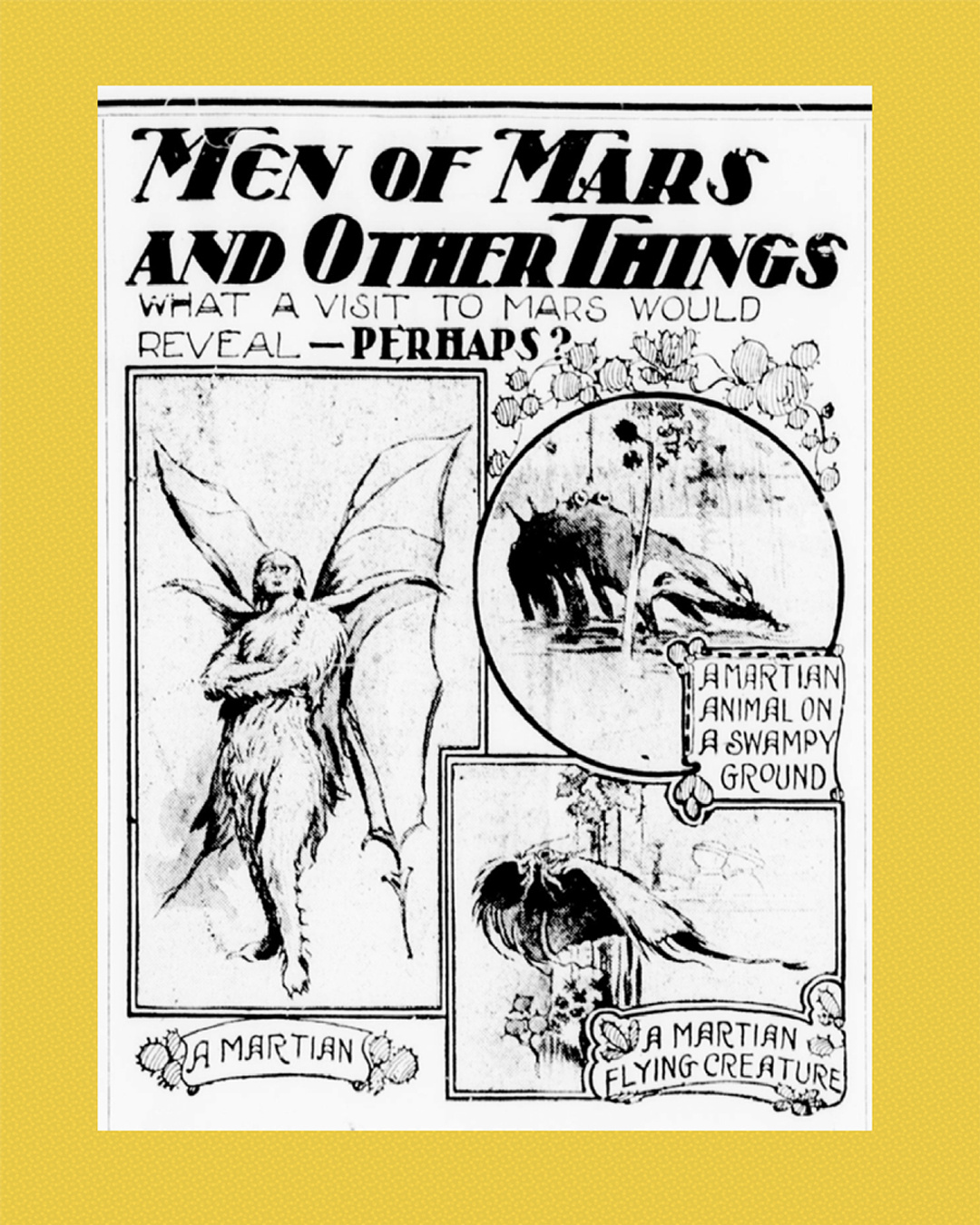 creature from mars perhaps